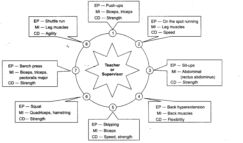 Physical Education Class 12 Important Questions Chapter 12 Training in ...