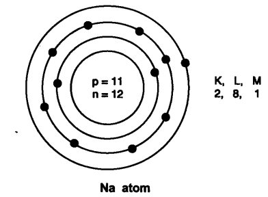 NCERT Solutions for Class 9 Science Chapter 4 Structure of Atom – Merit ...